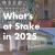 What's at Stake in 2025 - Docomomo
