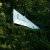 Egan House - Docomomo
